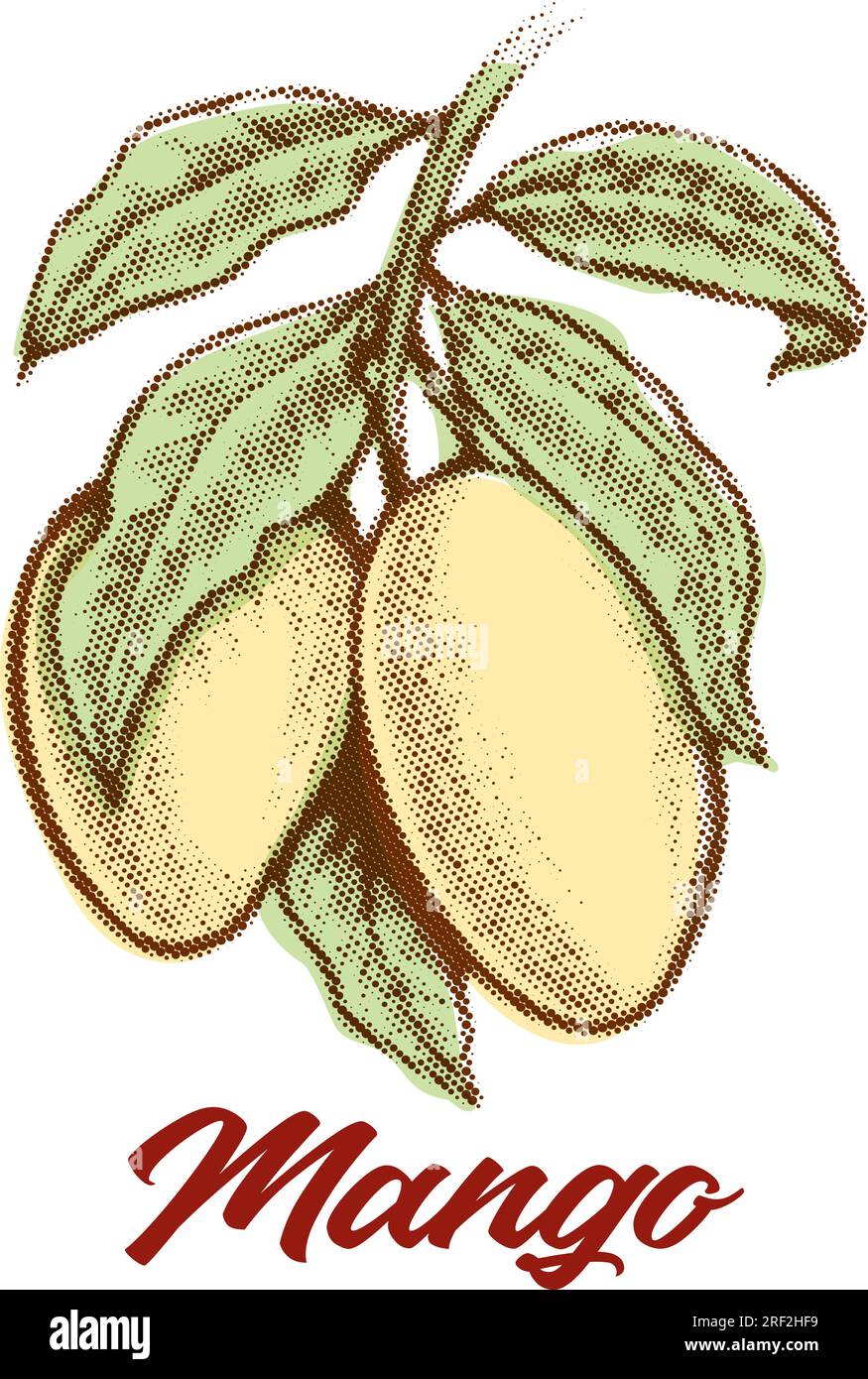 Mango label retro poster Stock Vector Image & Art - Alamy