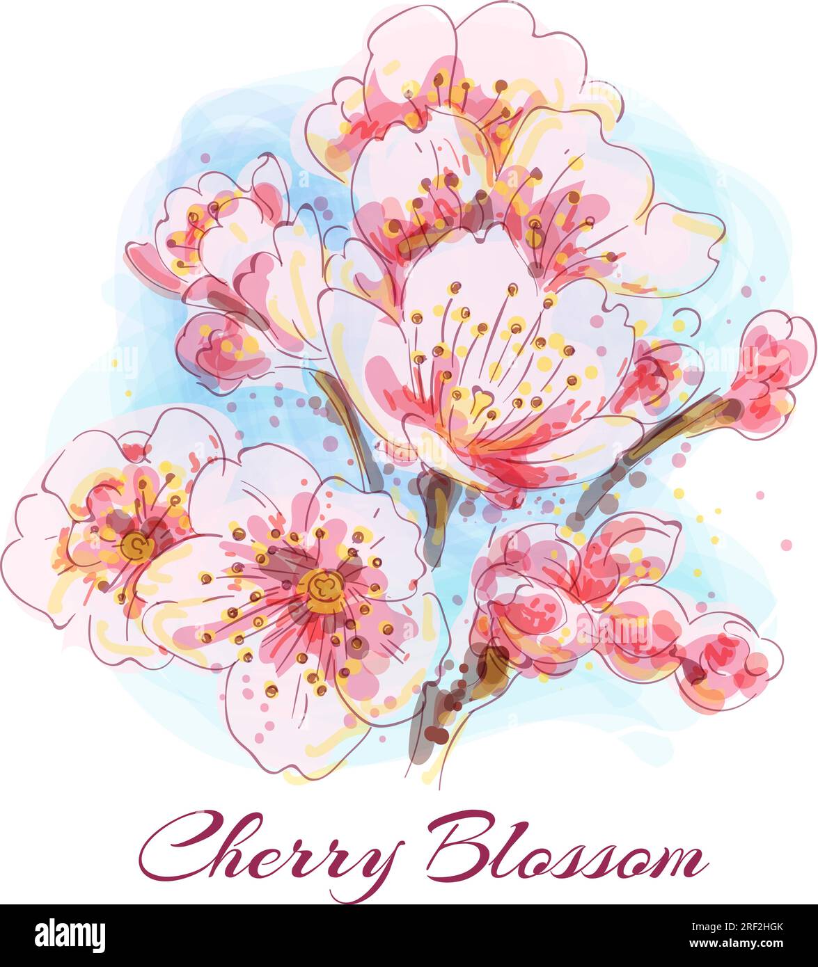 Beautiful white spring blossoming Stock Vector Images - Alamy