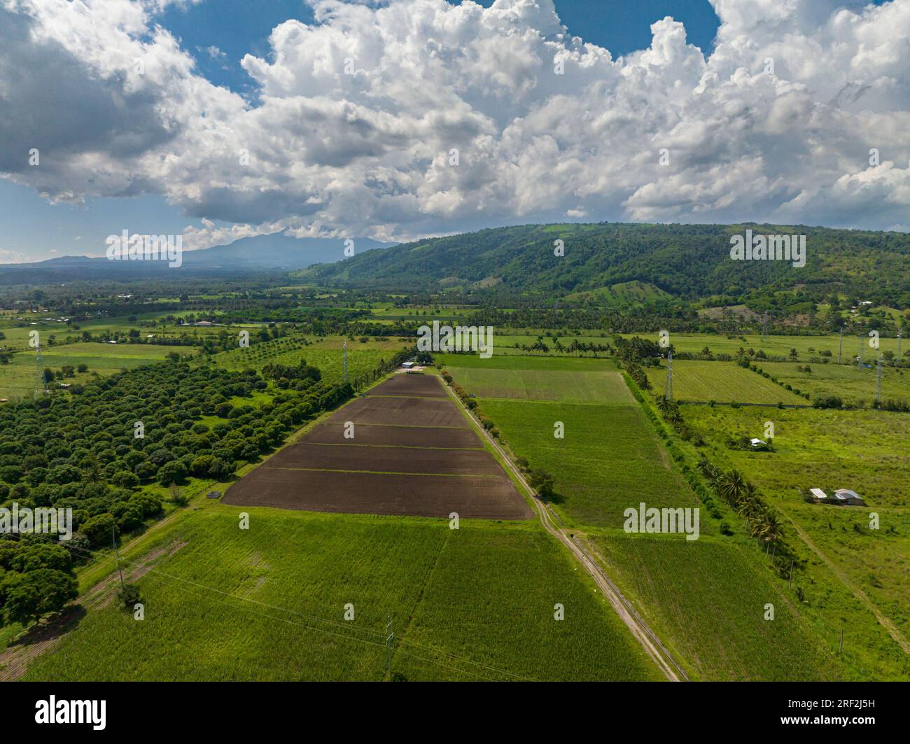Aerial view of Agricultural land and mountains with green forest ...