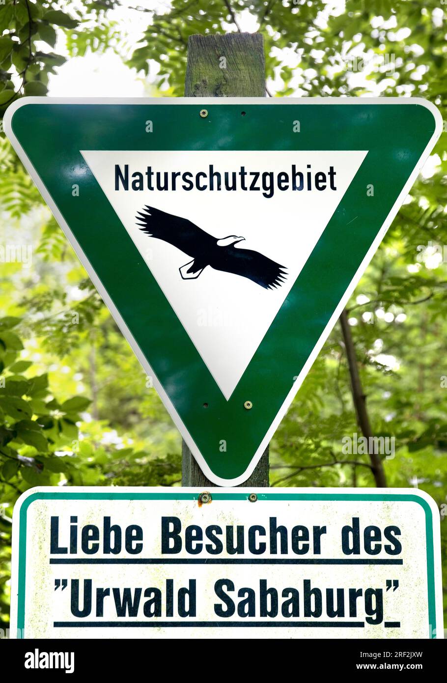 nature reserve sign Urwald Sababurg, Germany, Hesse, Reinhardswald ...
