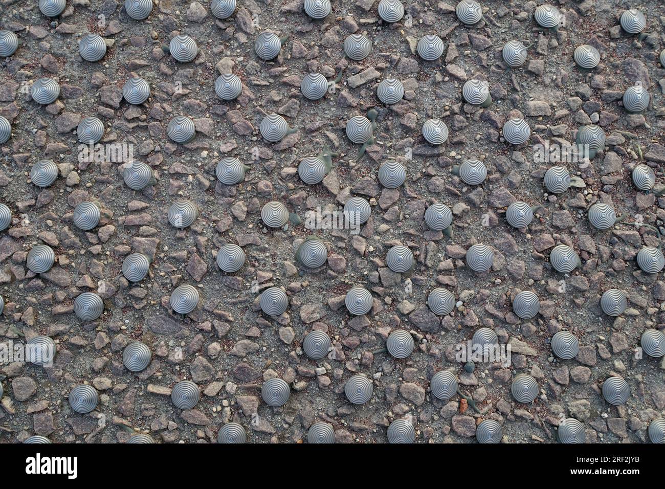 road nails as a slip stop Stock Photo - Alamy