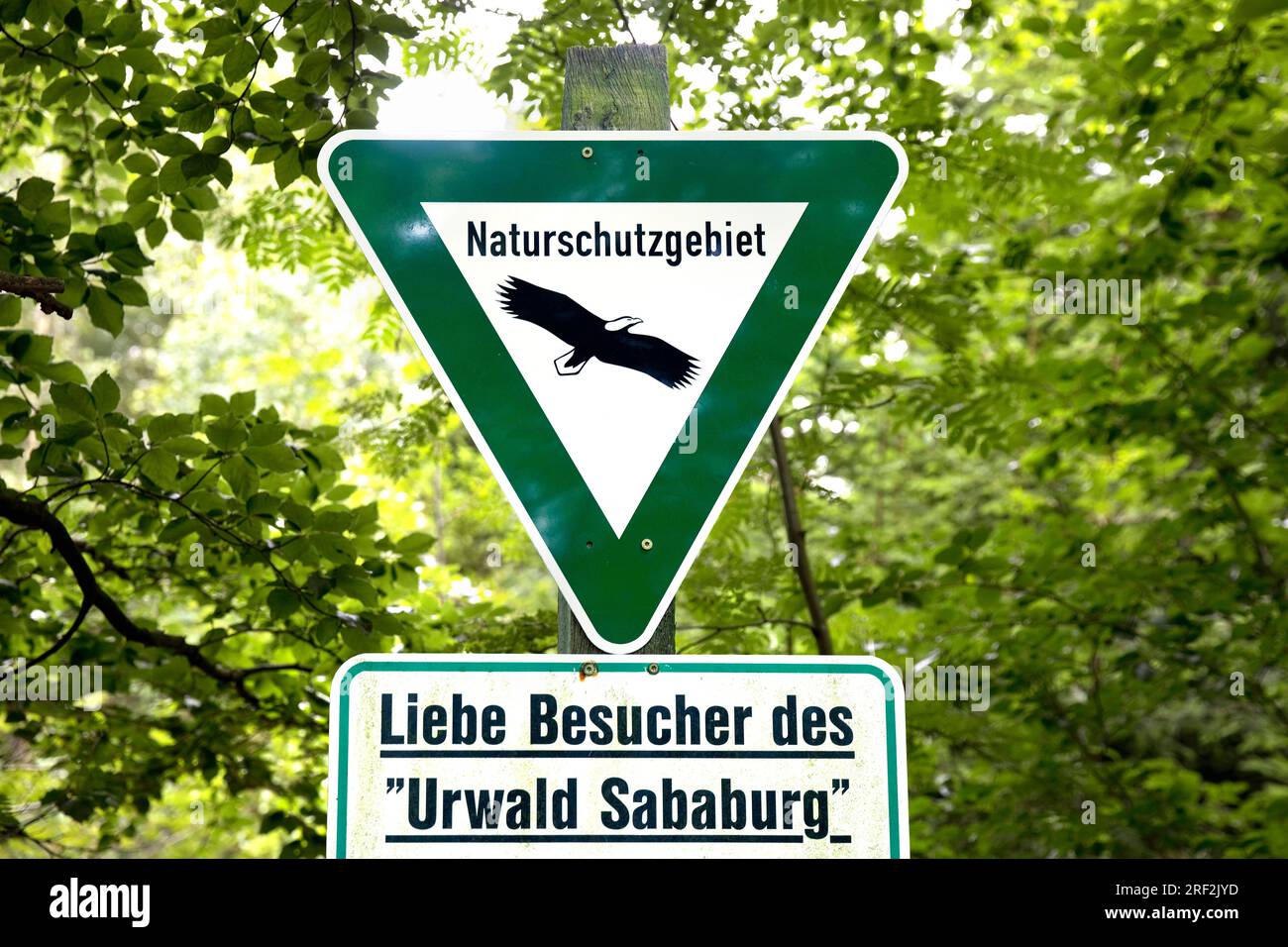 nature reserve sign Urwald Sababurg, Germany, Hesse, Reinhardswald ...
