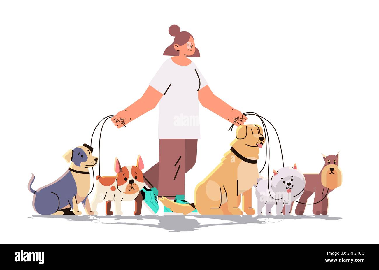 Dog walks with trainer Stock Vector Images - Alamy