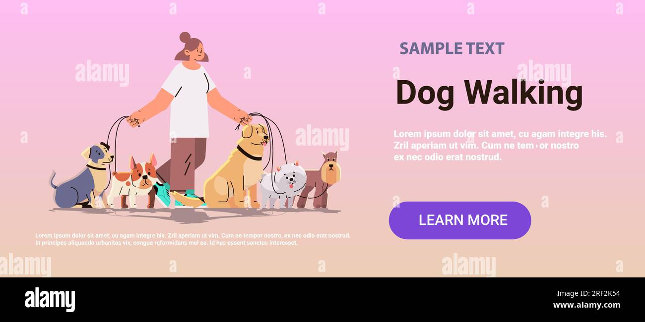 woman dog handler walks with pets best friends domestic animals walking ...