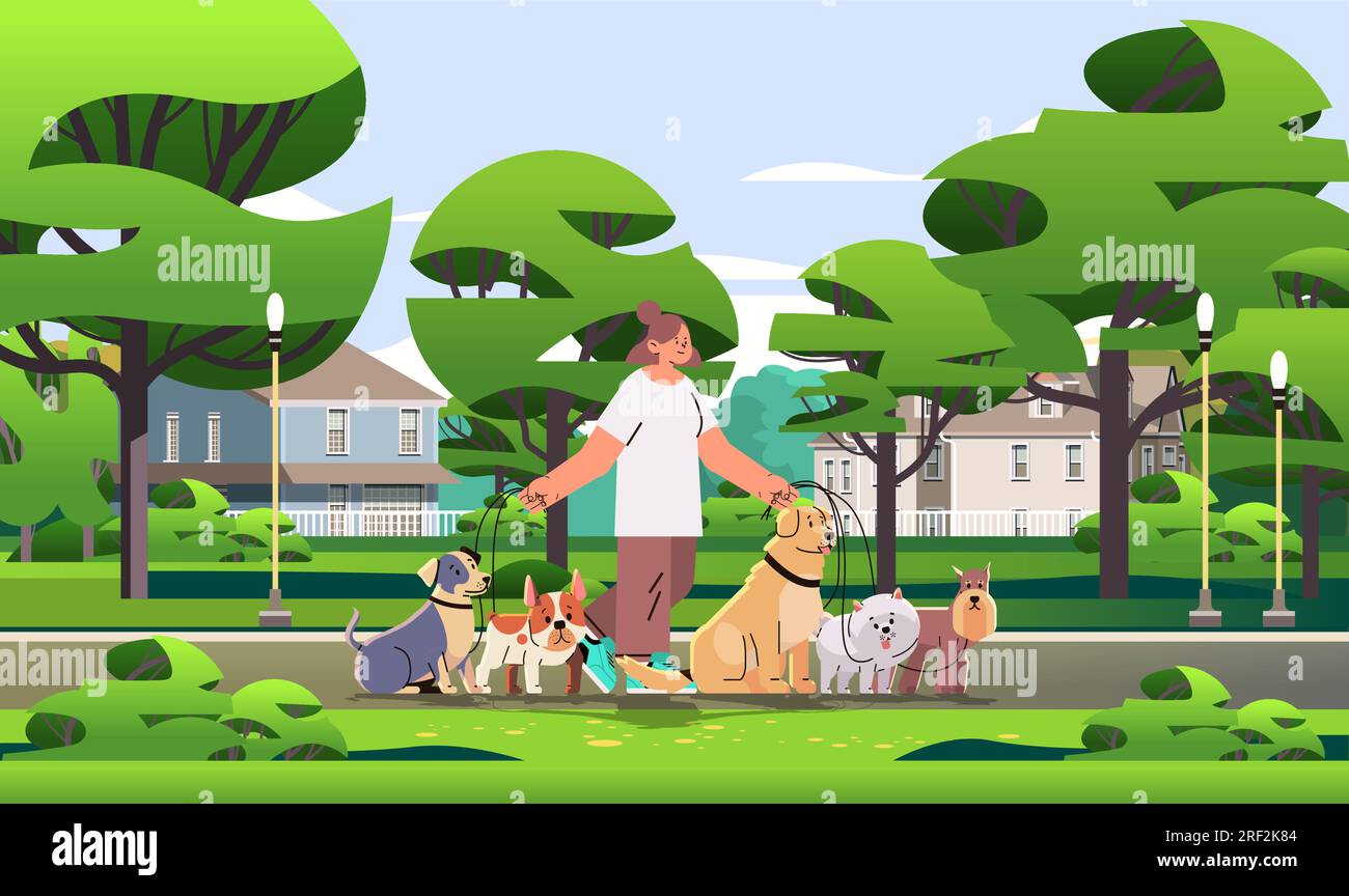 woman dog handler walks with pets in park best friends domestic animals ...