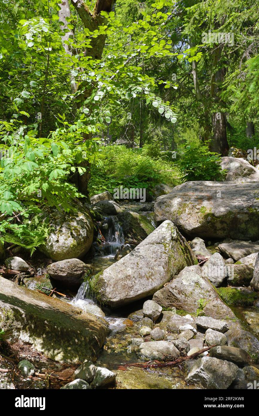 Rochers de montagne hi-res stock photography and images - Alamy