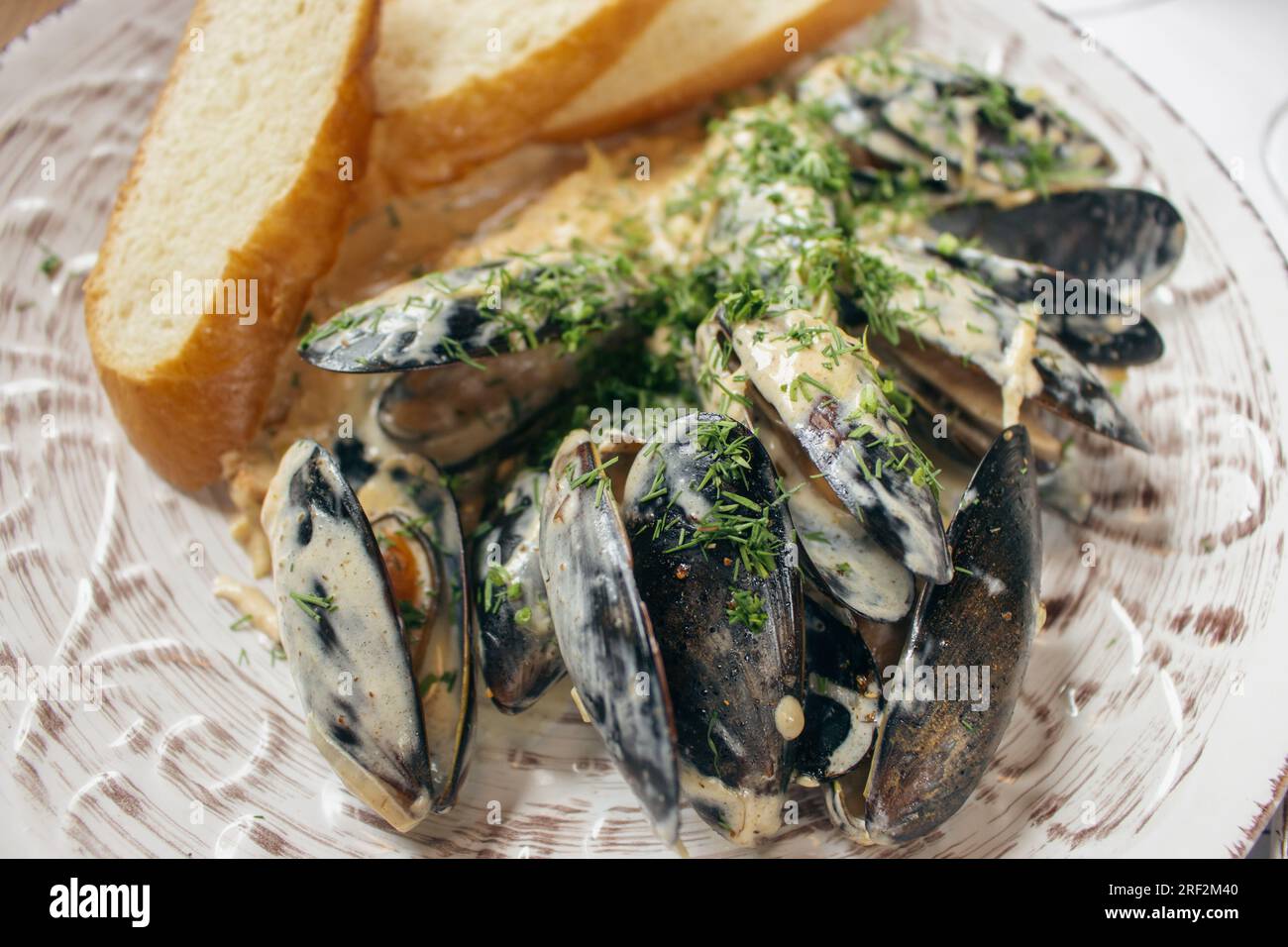 Mussels with cream sauce and bread. Seafood close up. Fish dish, top ...
