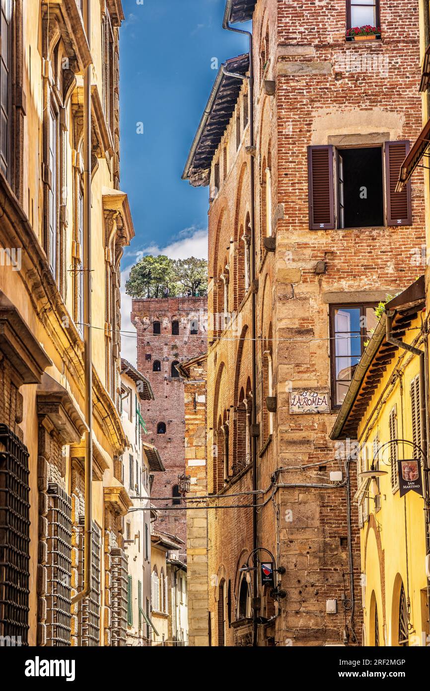 Torre guinigi aerial hi-res stock photography and images - Alamy