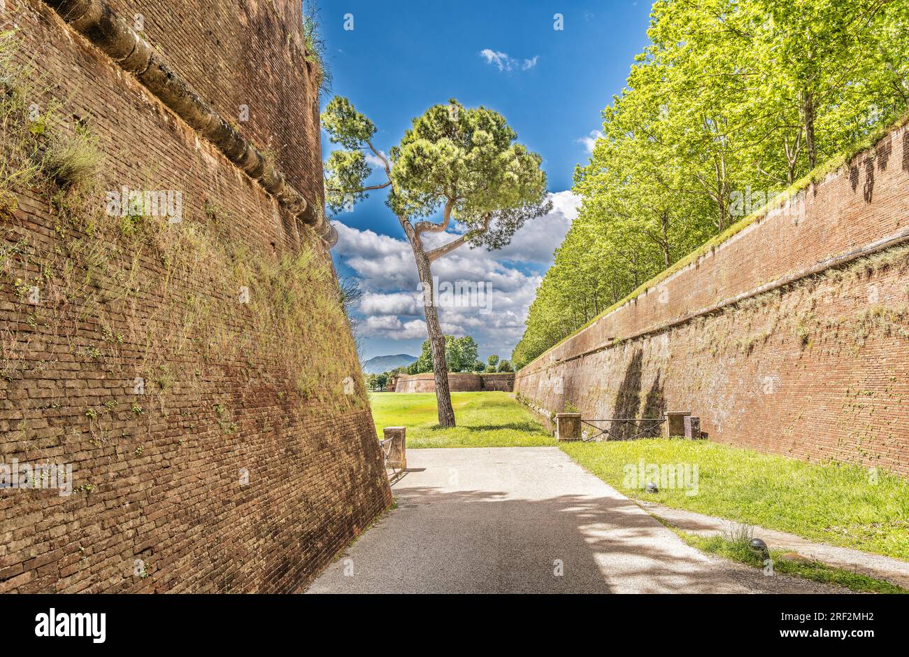 Lucca town walls hi-res stock photography and images - Alamy