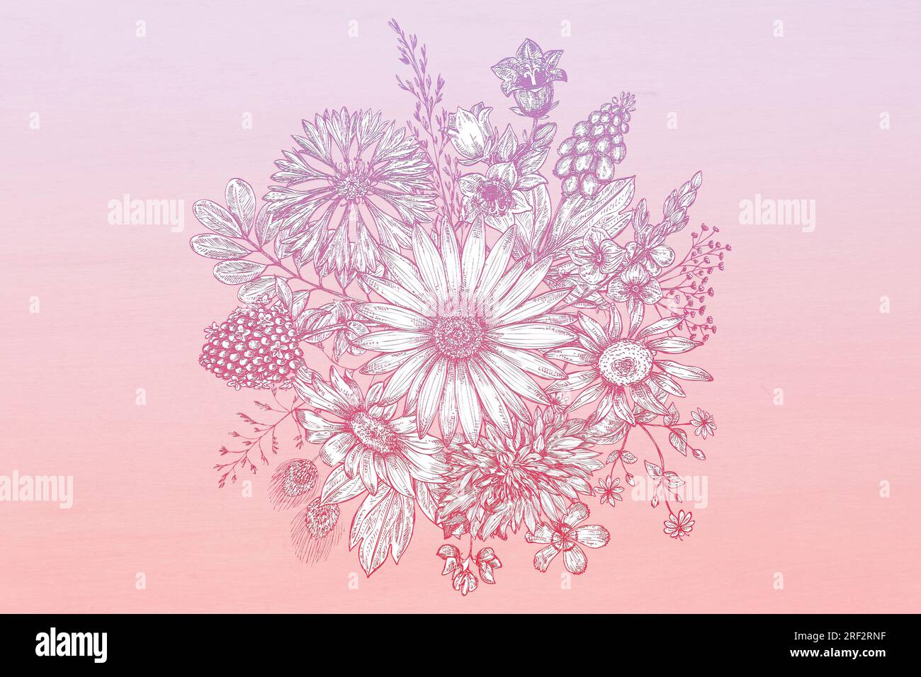 Pink flower background for design, pink, purple, iridescent, colourful ...
