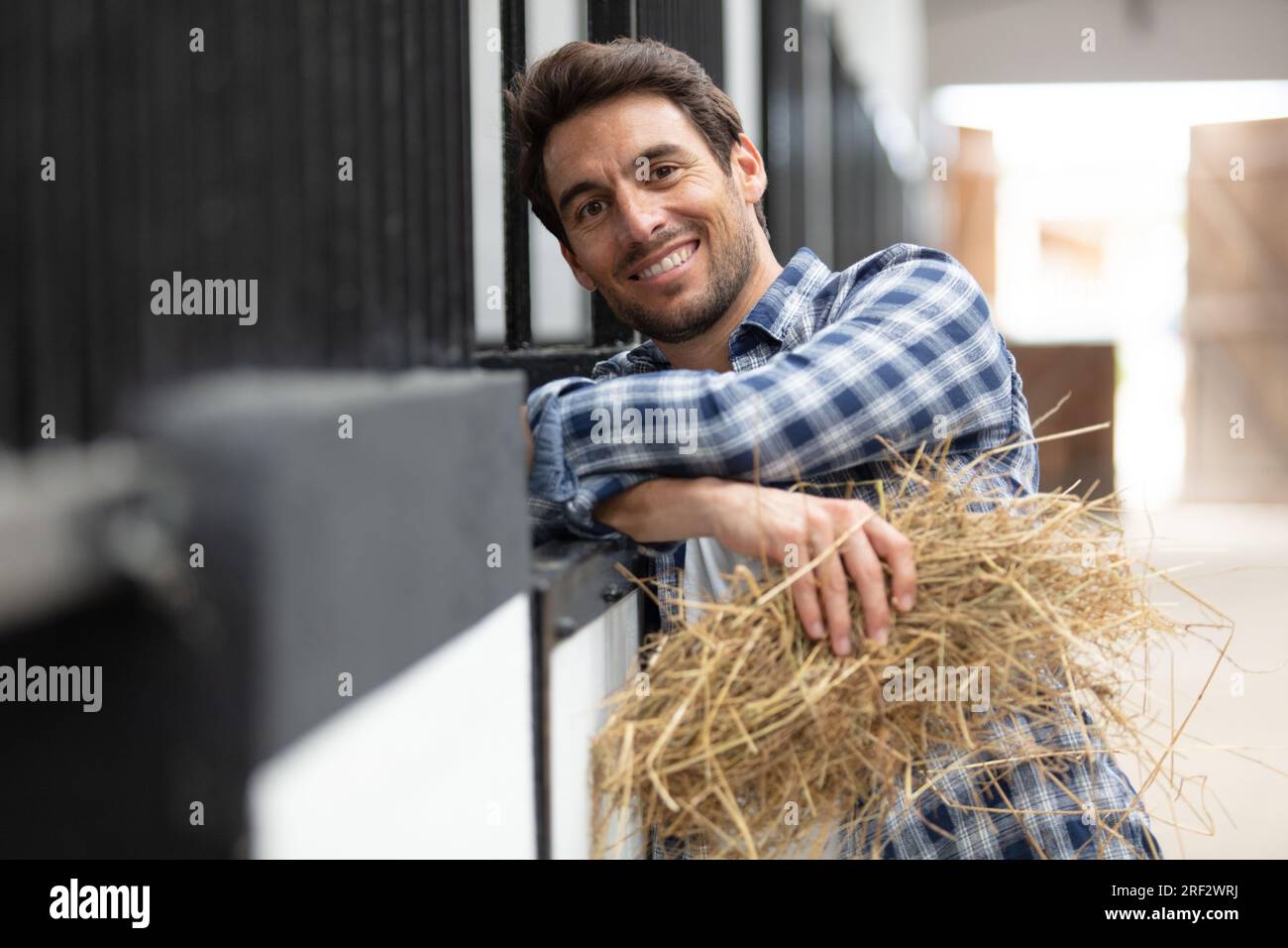 Horse feeding manger hi-res stock photography and images - Alamy