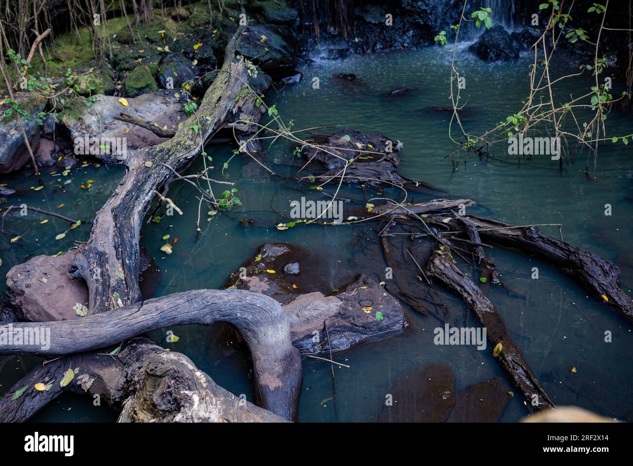 Lake River Pond Dam Outdoors Nature Landscape Park Paradise Lost Kiambu ...