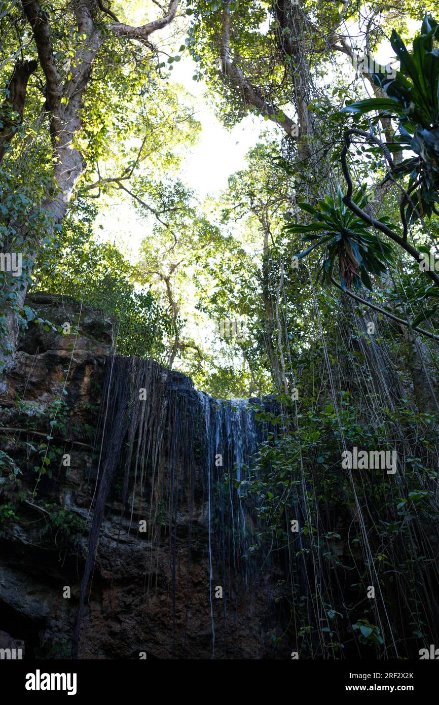 Lake River Pond Dam Outdoors Nature Landscape Park Paradise Lost Kiambu ...