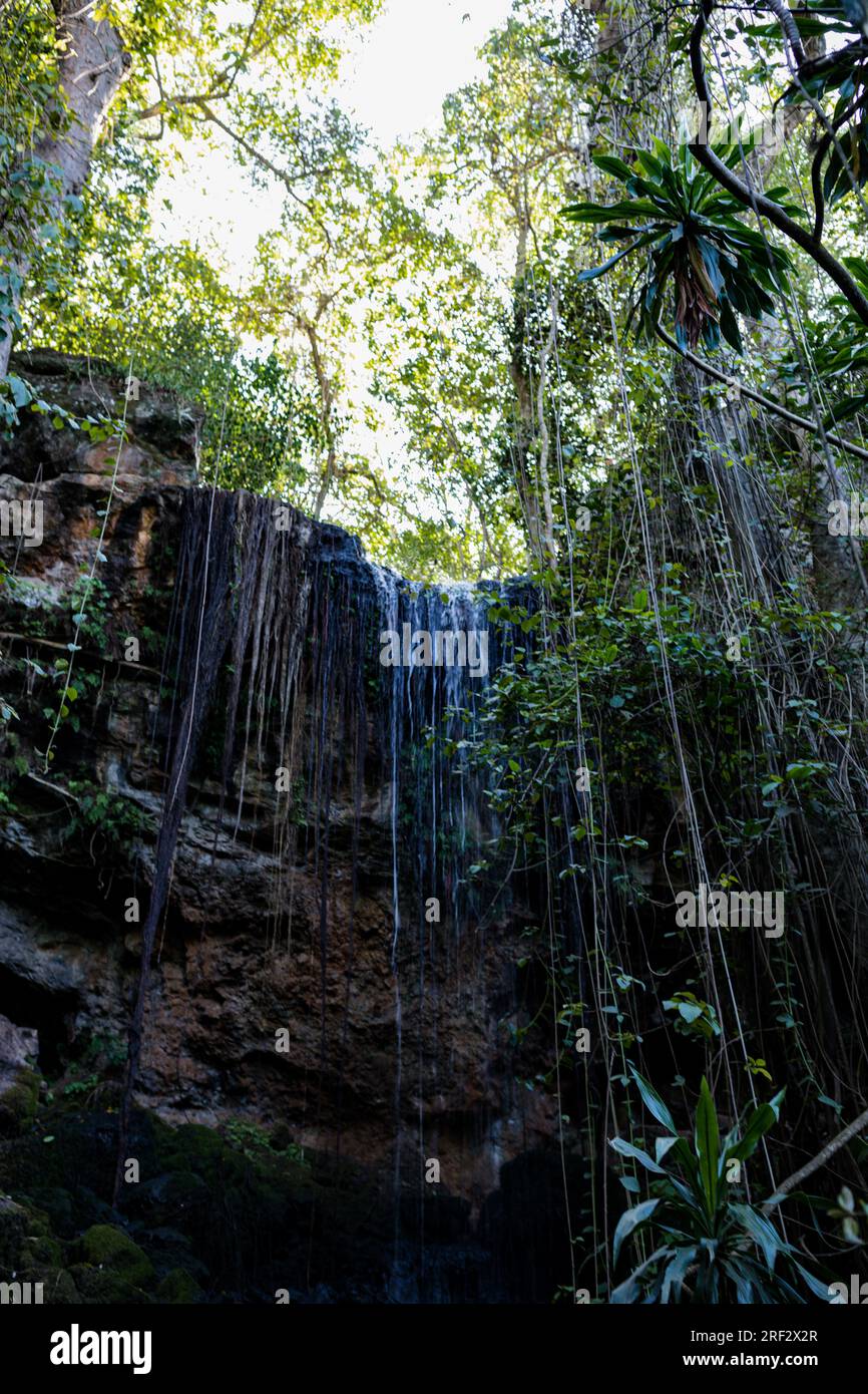 Lake River Pond Dam Outdoors Nature Landscape Park Paradise Lost Kiambu ...