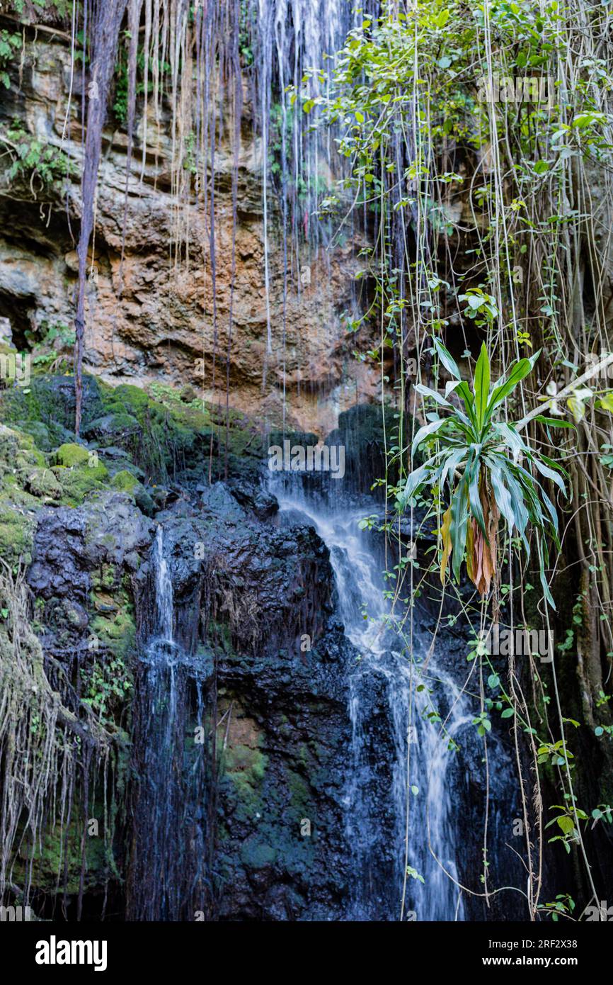 Lake River Pond Dam Outdoors Nature Landscape Park Paradise Lost Kiambu ...