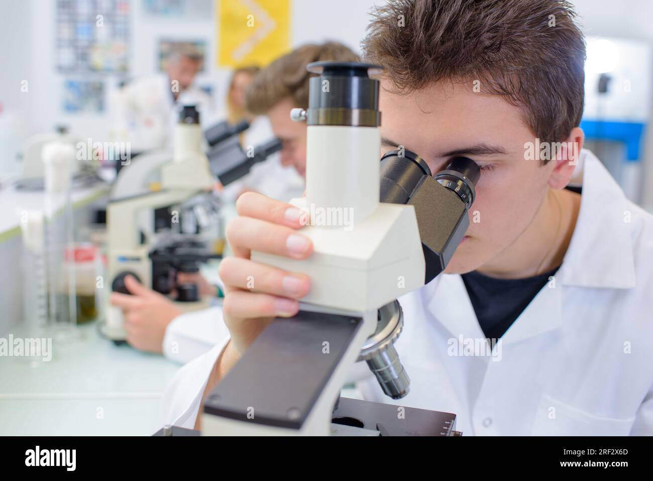 Microscopes classroom hi-res stock photography and images - Alamy