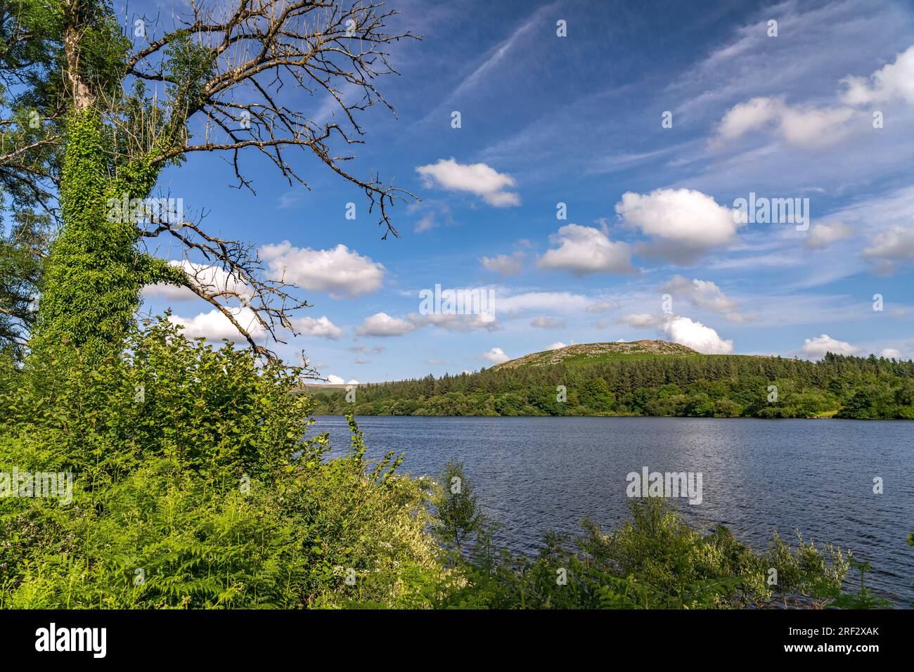 Der Stausee Burrator Reservoir im Dartmoor, Devon, England ...