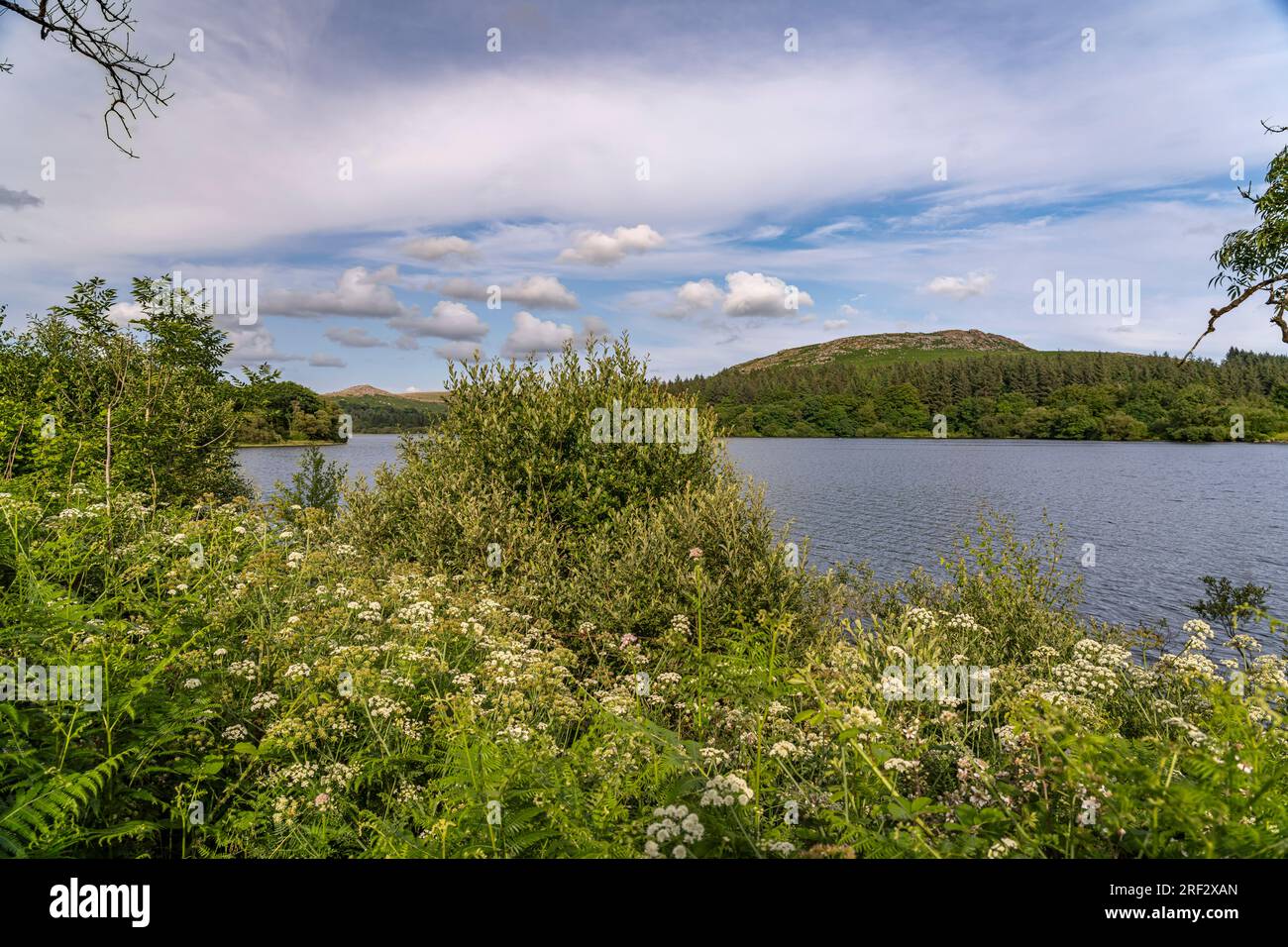 Der Stausee Burrator Reservoir im Dartmoor, Devon, England ...
