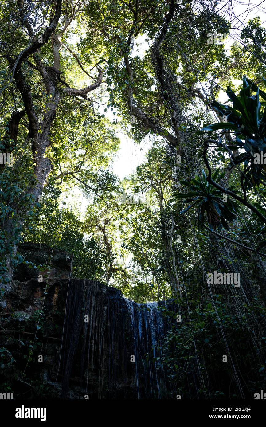 Lake River Pond Dam Outdoors Nature Landscape Park Paradise Lost Kiambu ...