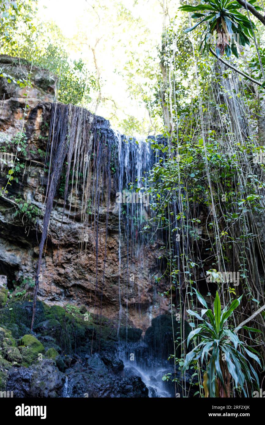 Lake River Pond Dam Outdoors Nature Landscape Park Paradise Lost Kiambu ...