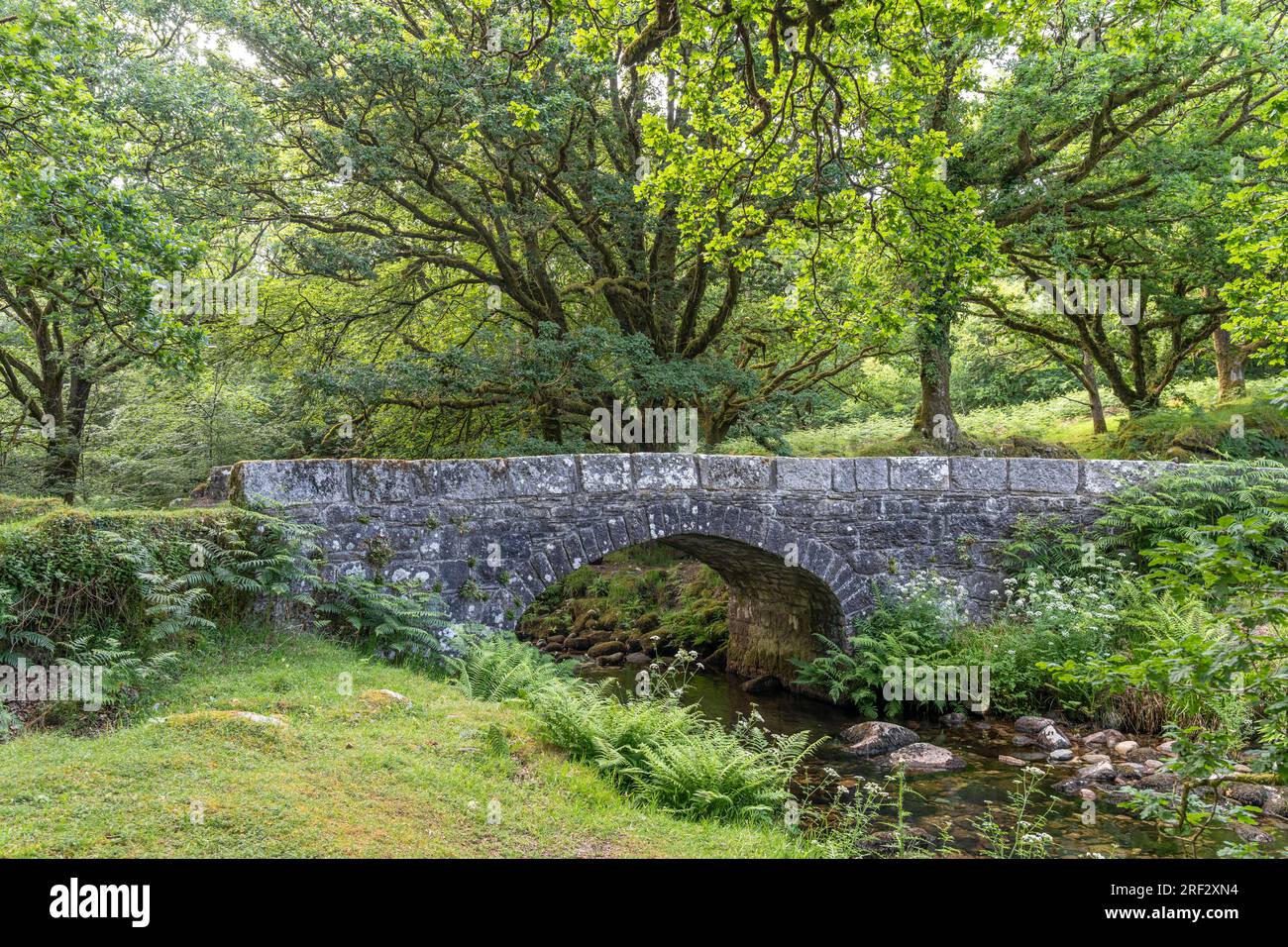 Die historische Norsworthy Brücke uber den Fluss Meavy, Dartmoor, Devon ...