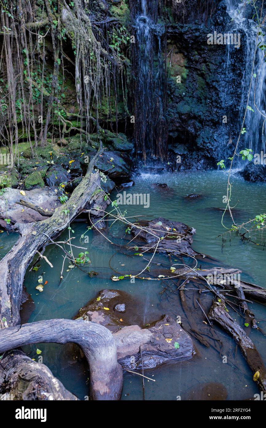 Lake River Pond Dam Outdoors Nature Landscape Park Paradise Lost Kiambu ...