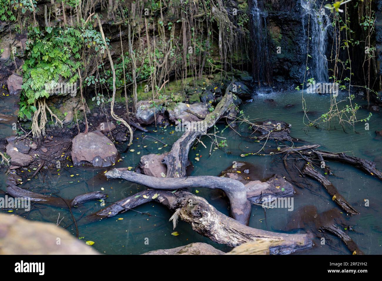 Lake River Pond Dam Outdoors Nature Landscape Park Paradise Lost Kiambu ...