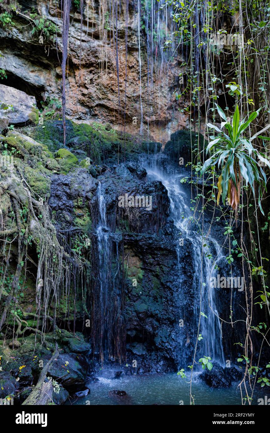 Lake River Pond Dam Outdoors Nature Landscape Park Paradise Lost Kiambu ...