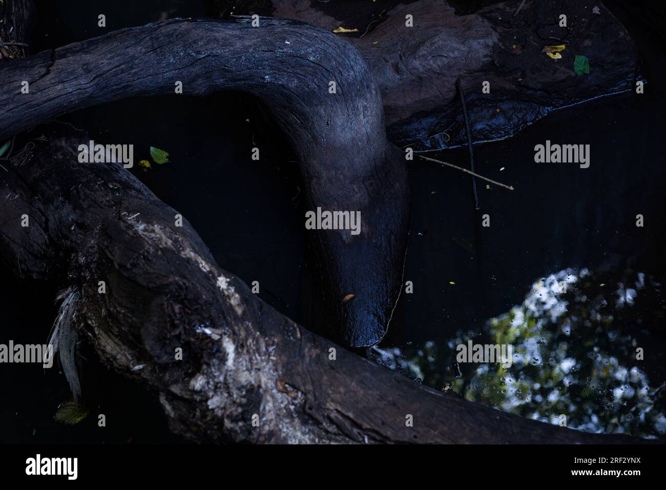 Lake River Pond Dam Outdoors Nature Landscape Park Paradise Lost Kiambu ...