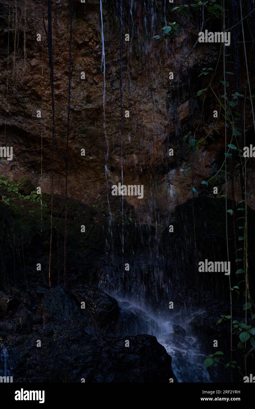 Lake River Pond Dam Outdoors Nature Landscape Park Paradise Lost Kiambu ...