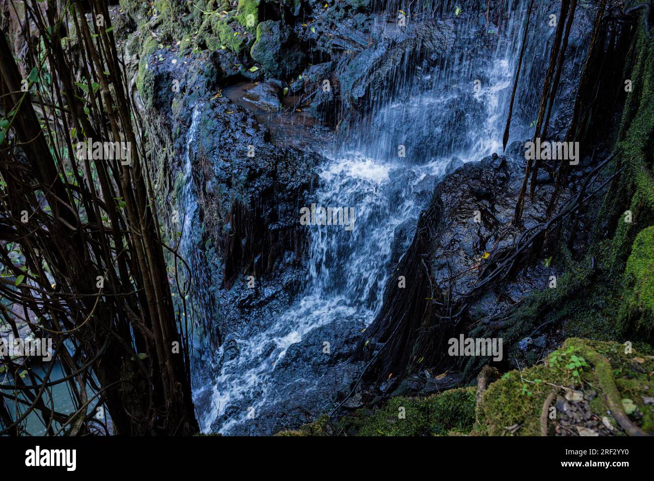 Lake River Pond Dam Outdoors Nature Landscape Park Paradise Lost Kiambu ...