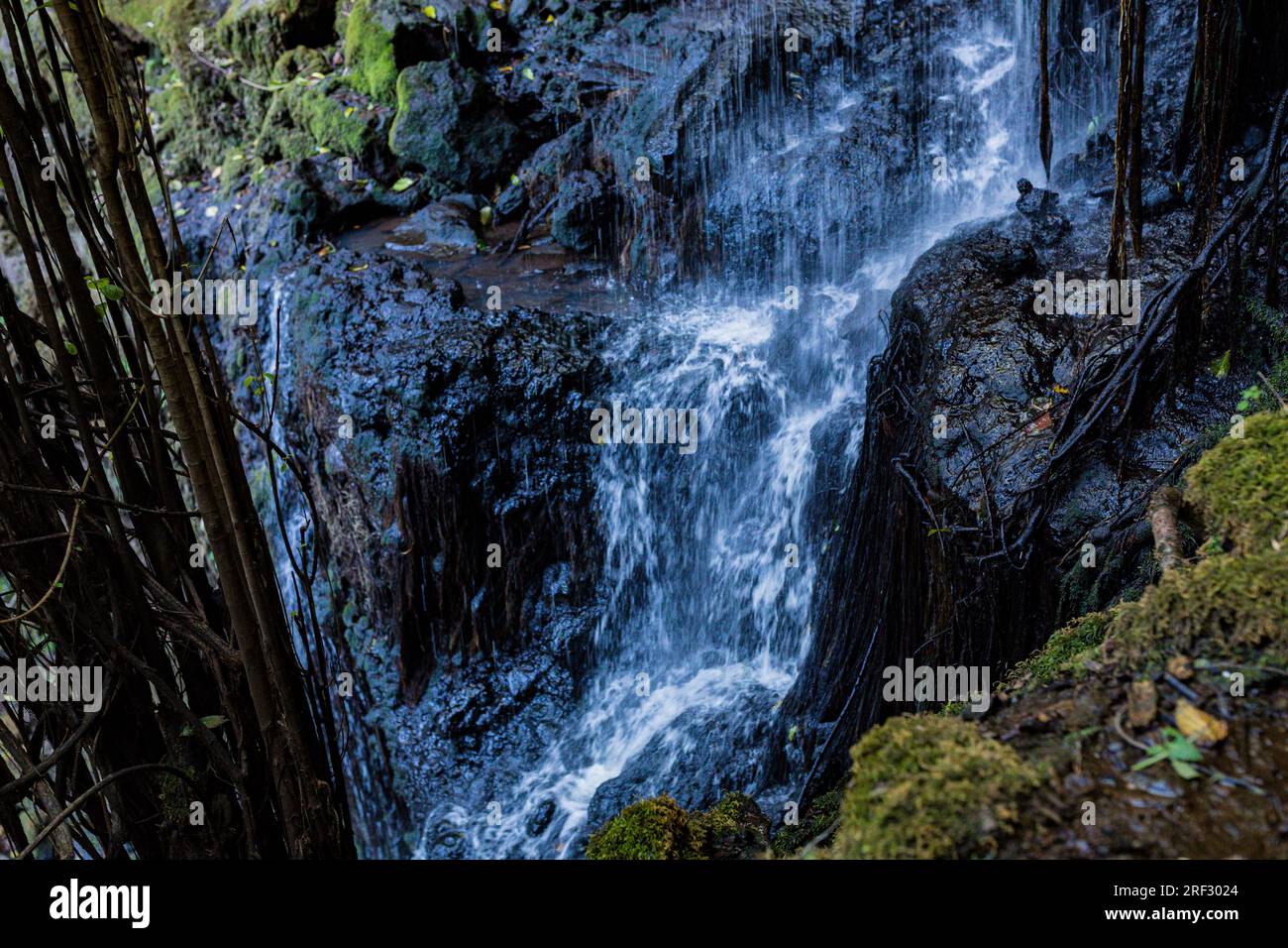 Lake River Pond Dam Outdoors Nature Landscape Park Paradise Lost Kiambu ...