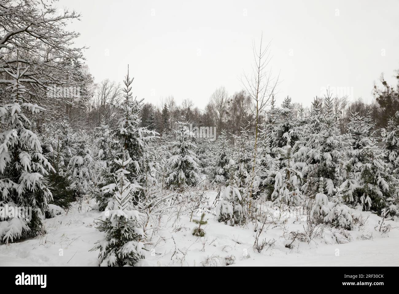 Precipitation types hi-res stock photography and images - Alamy