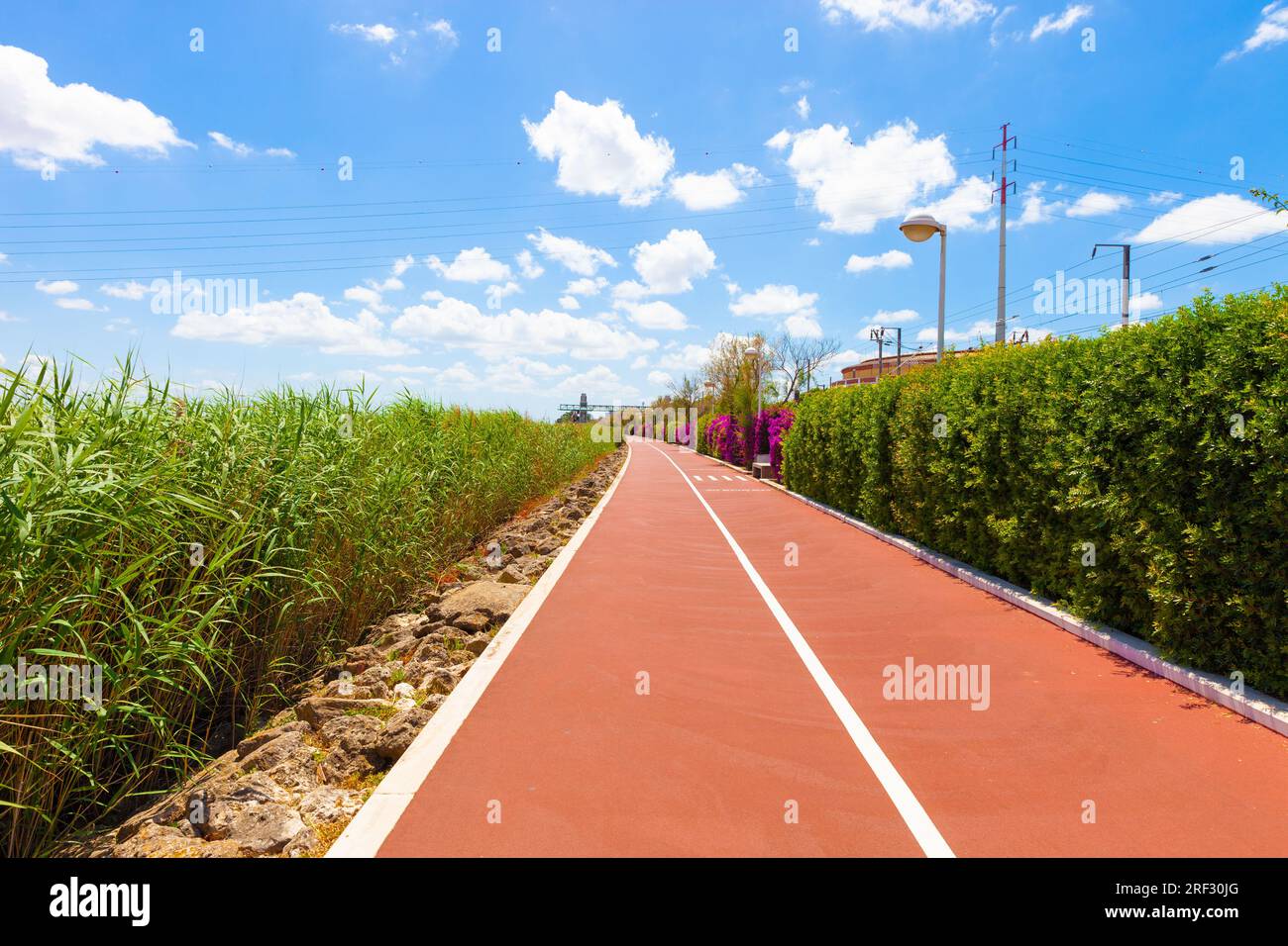 Bike path and footpath along the river bank. Place for workouts and ...