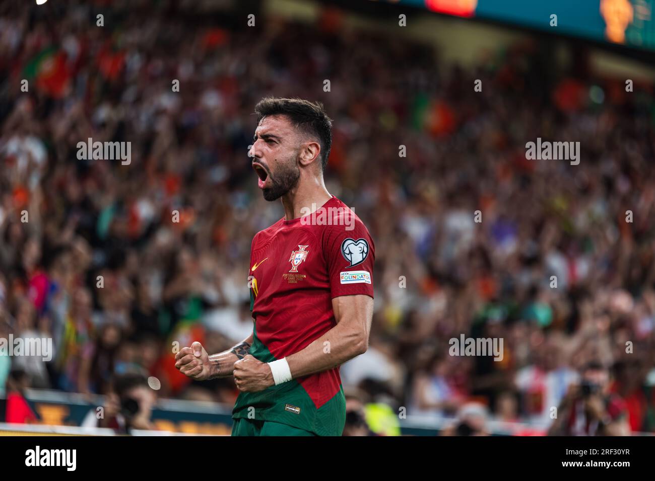 Bruno Fernandes celebrates after scoring goal during UEFA Euro 2024 ...