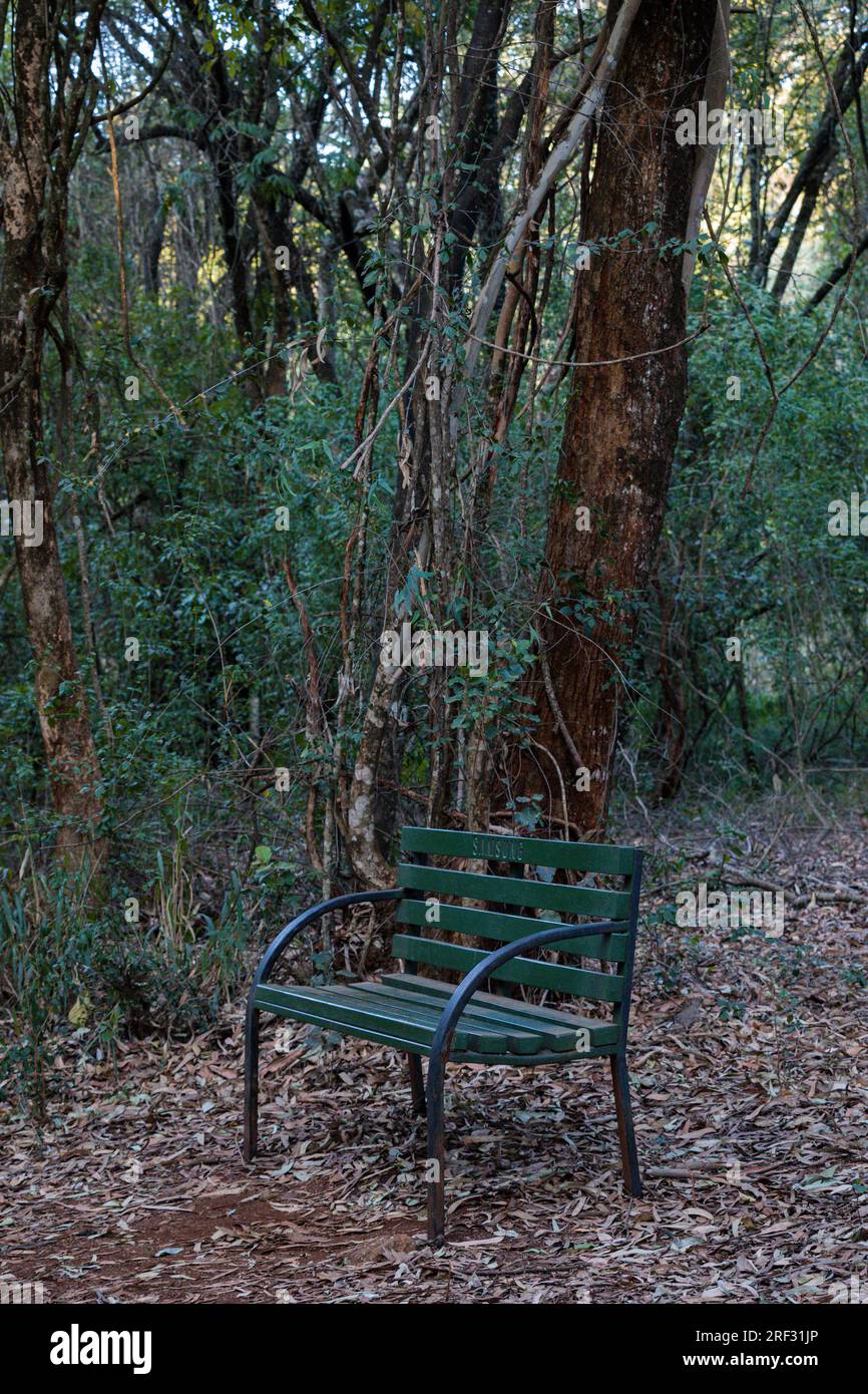 Lone Chair Seats At Karura Forest Sigiria Gate Stock Photo - Alamy