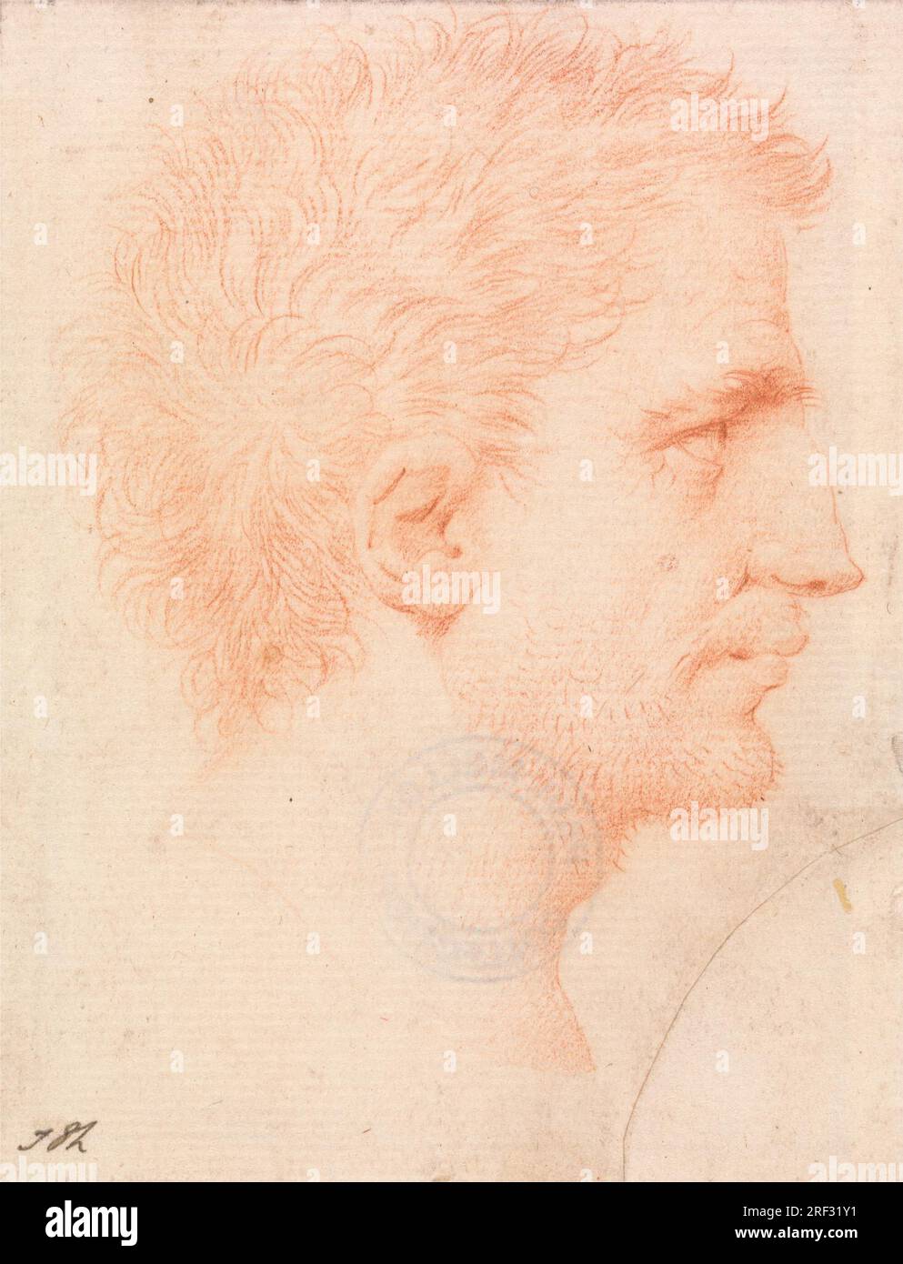 Head of a Man with Stubble Beard, Facing Right by Giles Hussey Stock ...