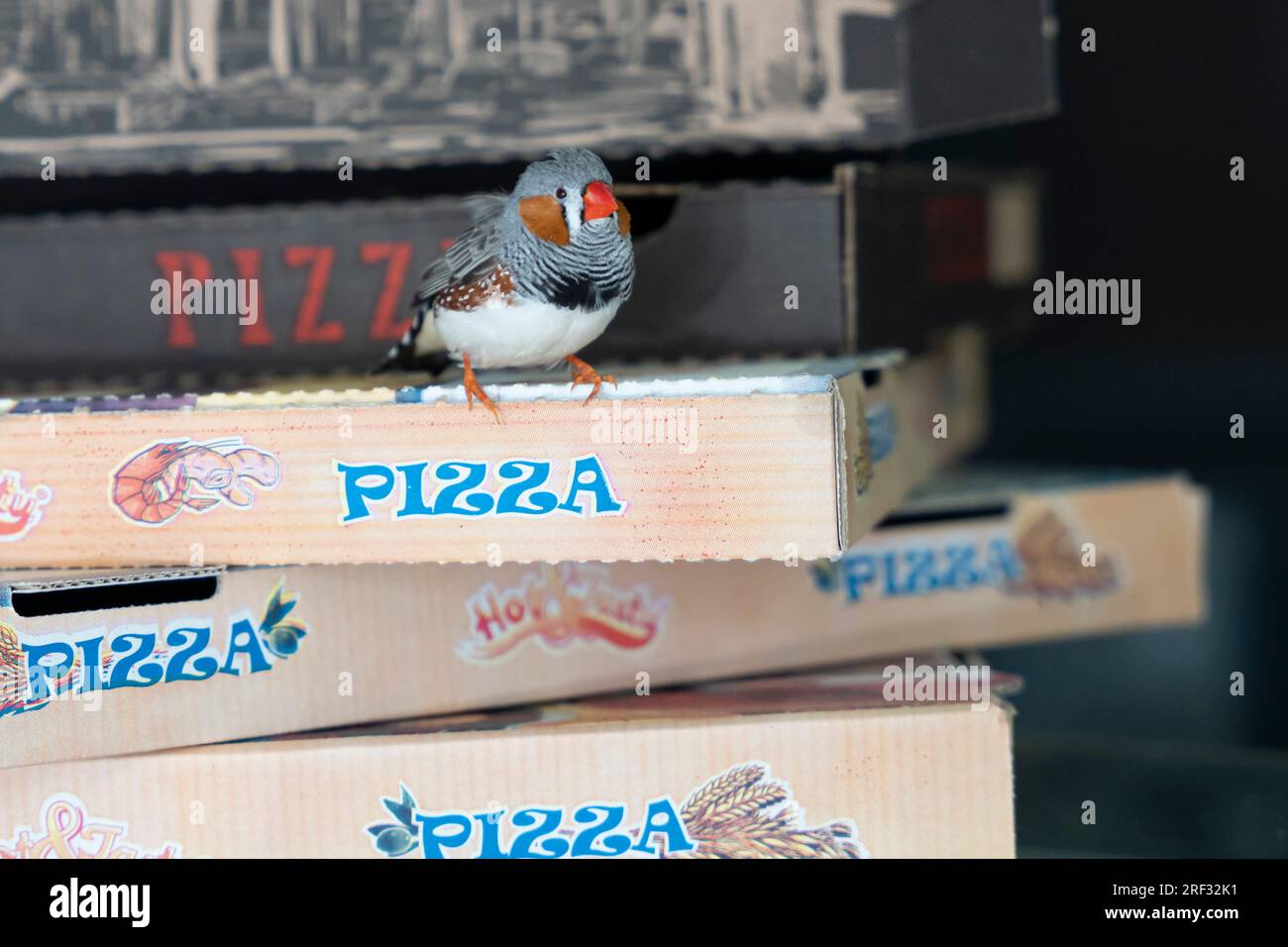 Paris lunch box hi-res stock photography and images - Alamy