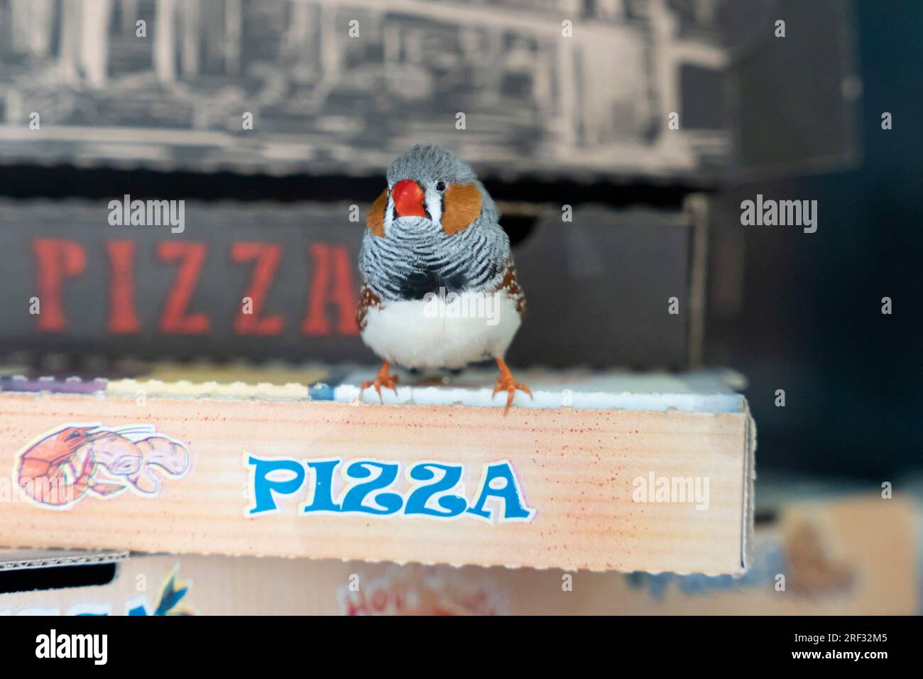Paris lunch box hi-res stock photography and images - Alamy