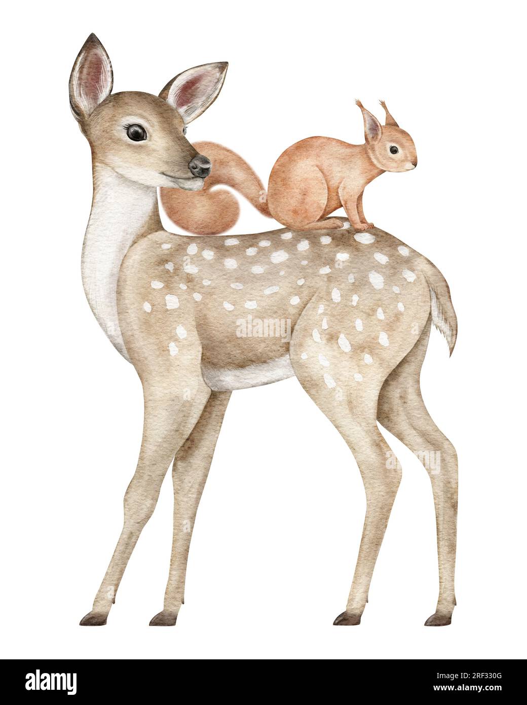 Cute fawn nursery wallpaper hi-res stock photography and images - Alamy