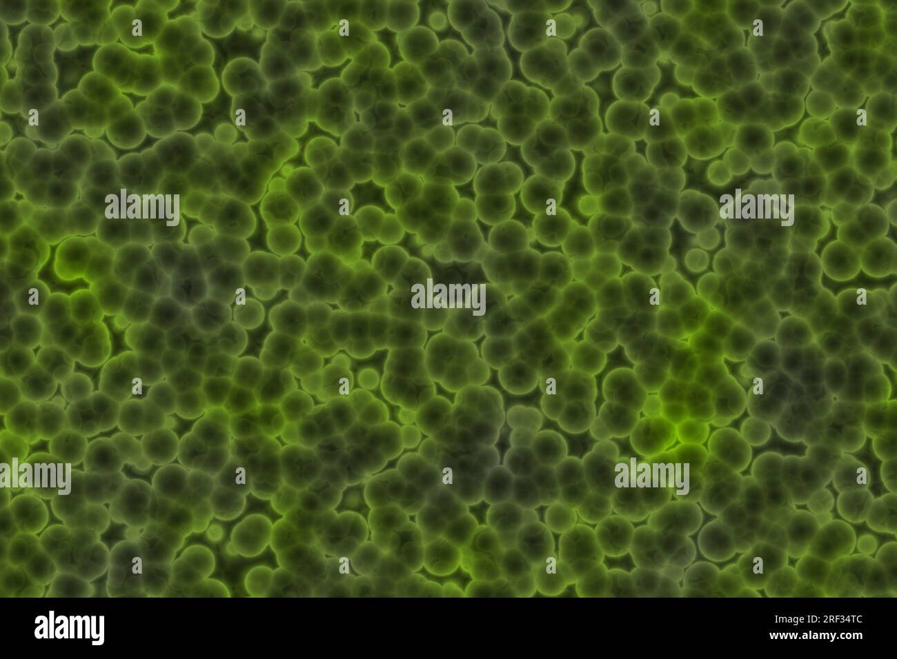 modern creative lime a lot of biological viruses computer graphics ...