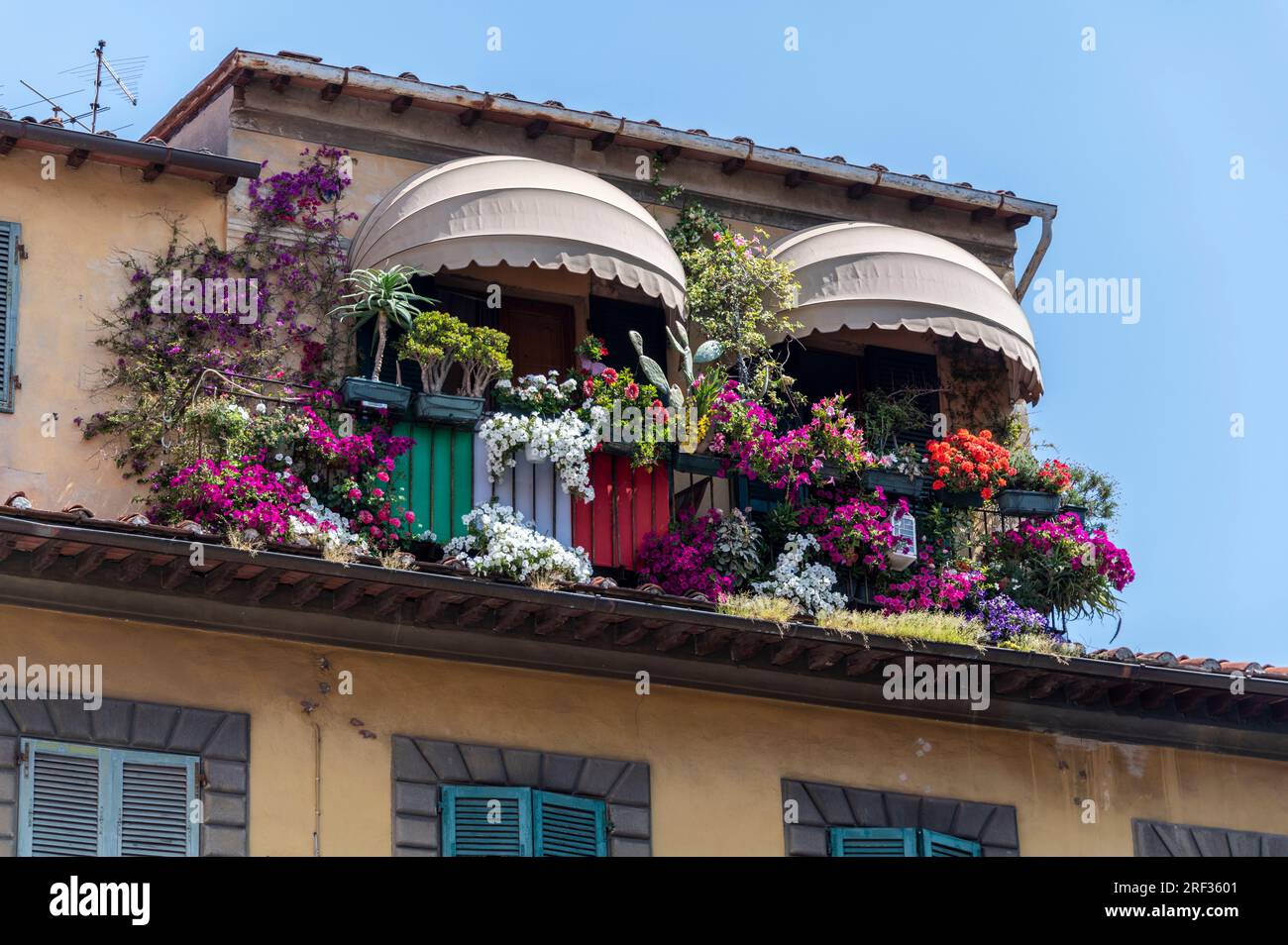 A roof garden in bloom on a top-floor balcony in a residential building ...
