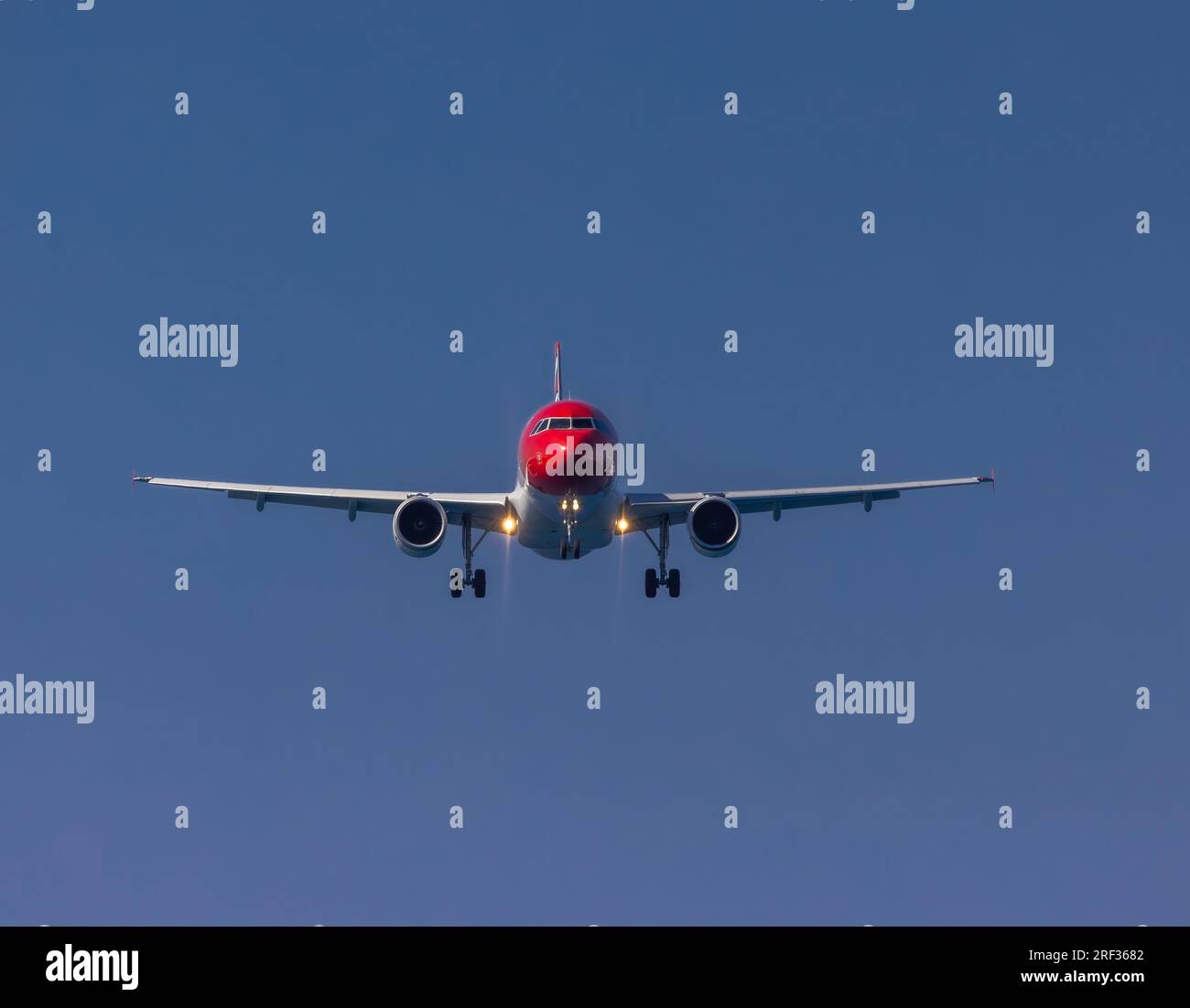 Skiathos wildlife hi-res stock photography and images - Alamy