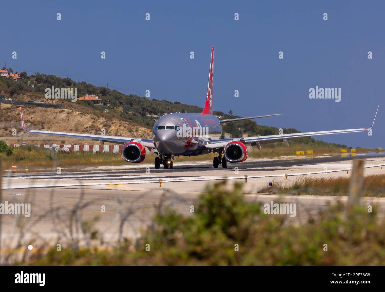 Skiathos wildlife hi-res stock photography and images - Alamy