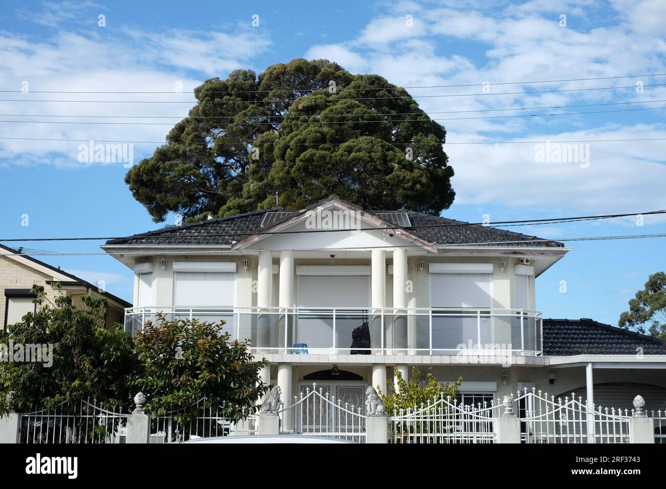 A large white two story house with a tall tree lfoliage behind looking ...