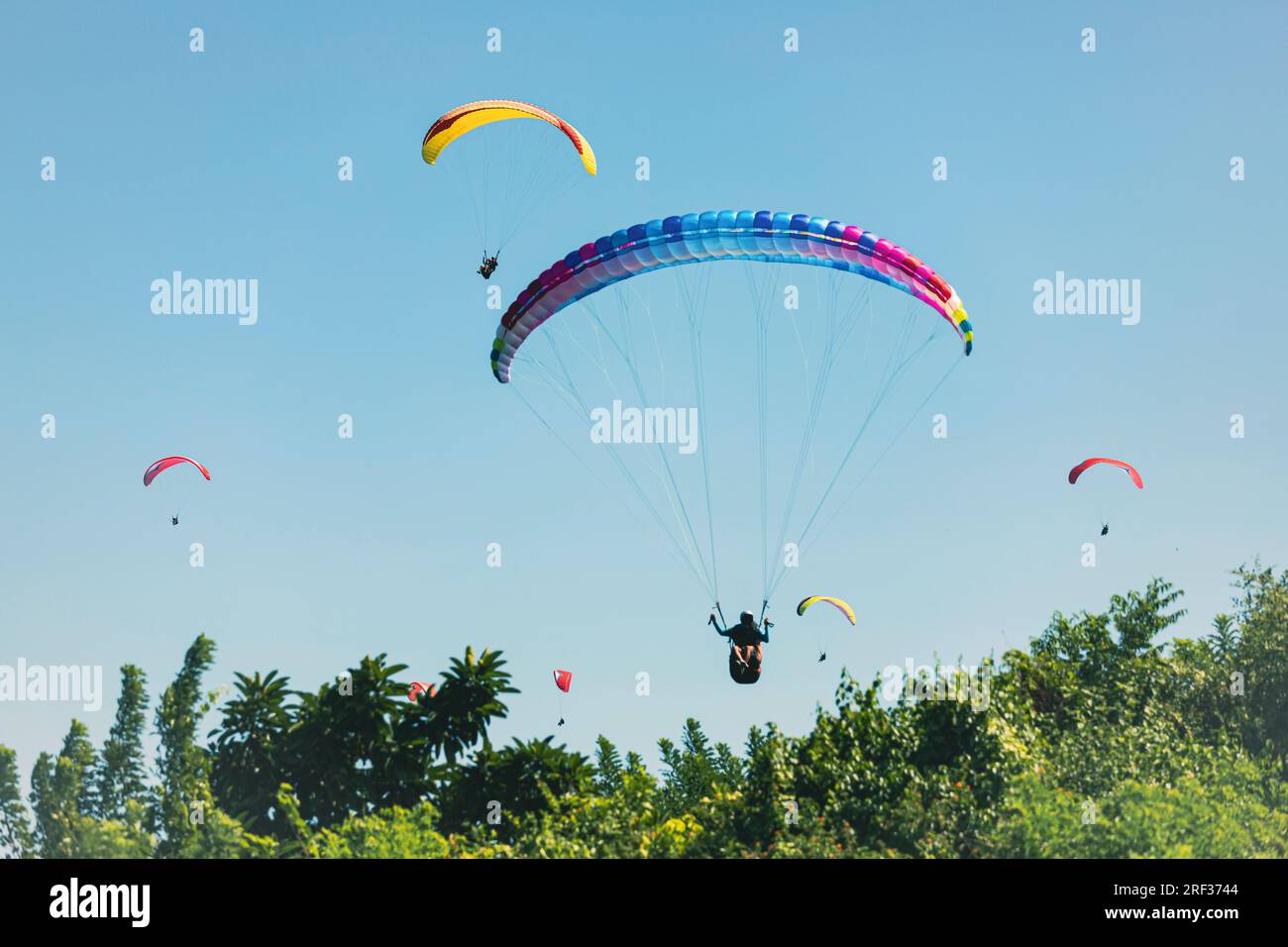 Paraglider in the blue sky. The sportsman flying on a paraglider Stock ...