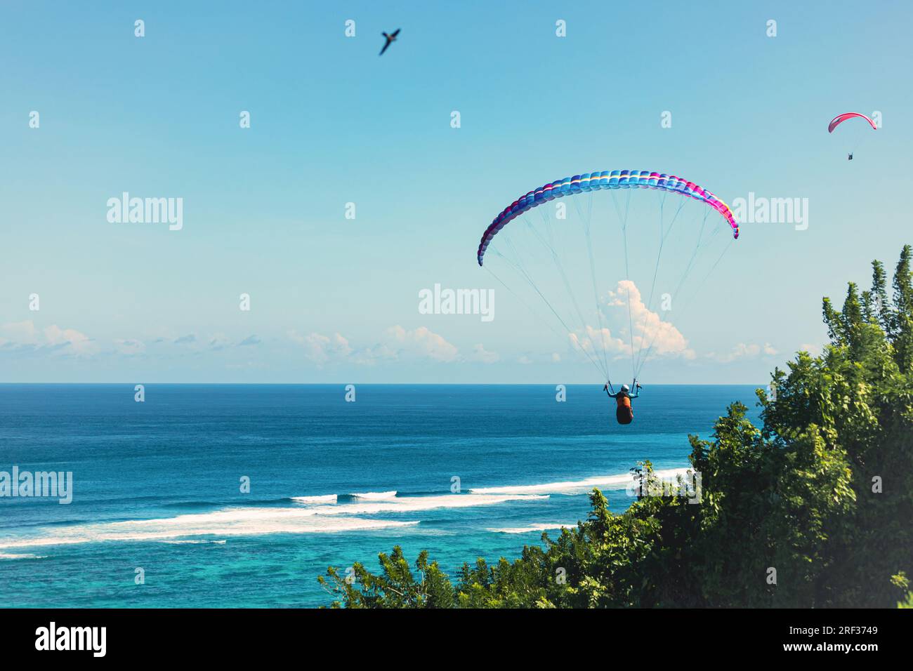 Paraglider flies in front of the blue ocean Stock Photo - Alamy