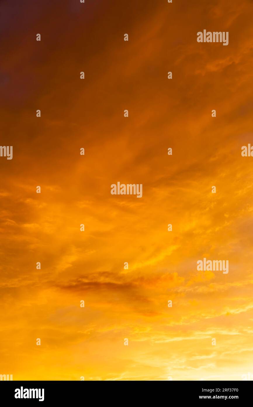 beautiful colored sky during sunset or sunrise, real nature at a ...