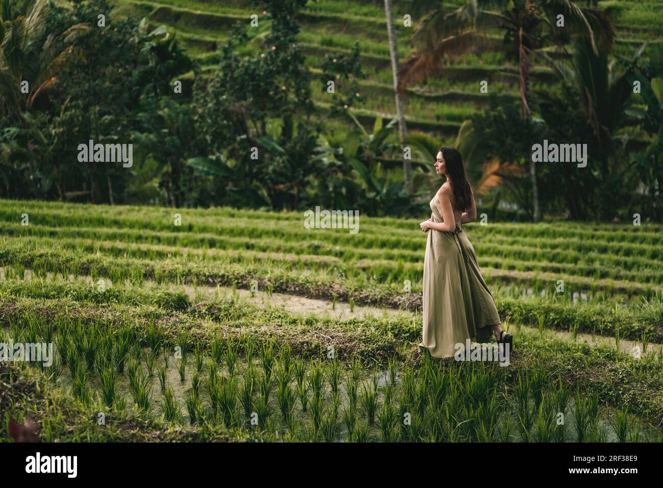 Beautiful girl in green dress walking on rice terrace. Elegant lady ...