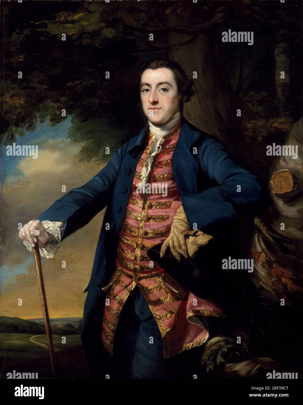 Dr. Connell by Francis Cotes Stock Photo - Alamy